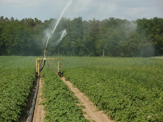 Sprinkler Irrigation: Why Successful Farmers Use Sprinkler Systems ...