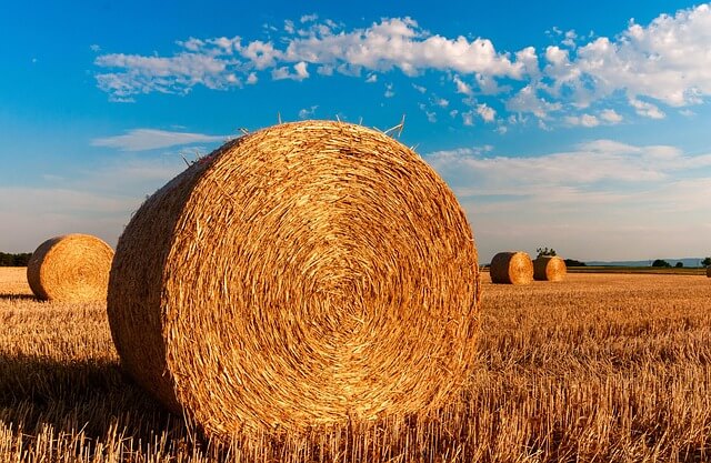How to Load Hay for Transport: A Practical Guide for Farmers - Minnuo ...