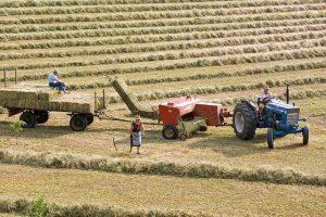 How to Load Hay for Transport: A Practical Guide for Farmers - Minnuo ...